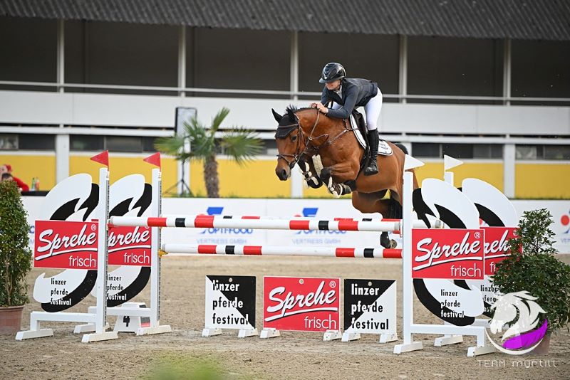 Reiten: Linzer Pferdefestival 2024 - SPORTUNION Oberösterreich