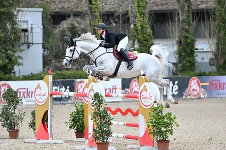 Reiten: Linzer Pferdefestival 2025 - SPORTUNION Oberösterreich